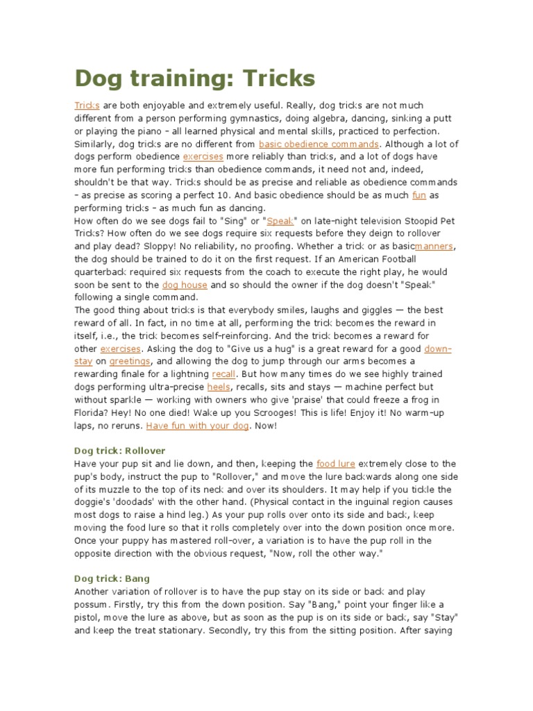 Dog Training | PDF | Obedience Training | Dogs