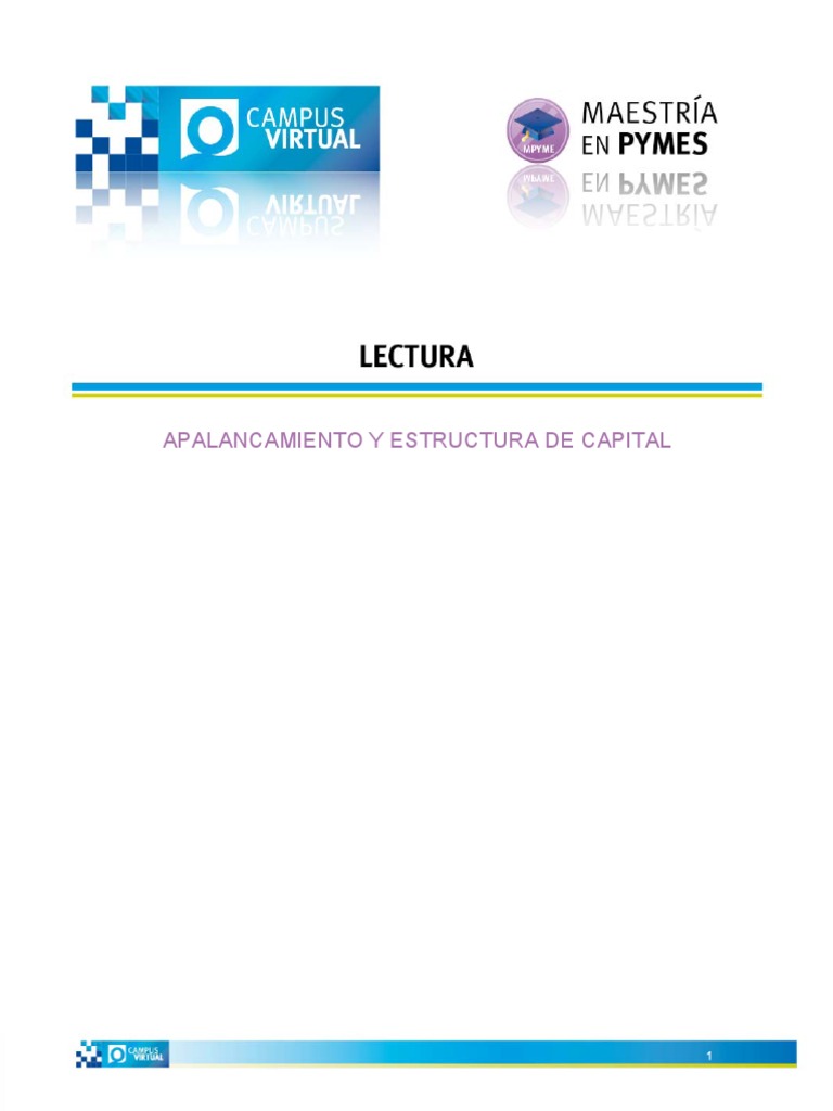 Apalancamiento y Estructura de Capital | PDF | Apalancamiento (Finanzas) | Compartir (Finanzas)