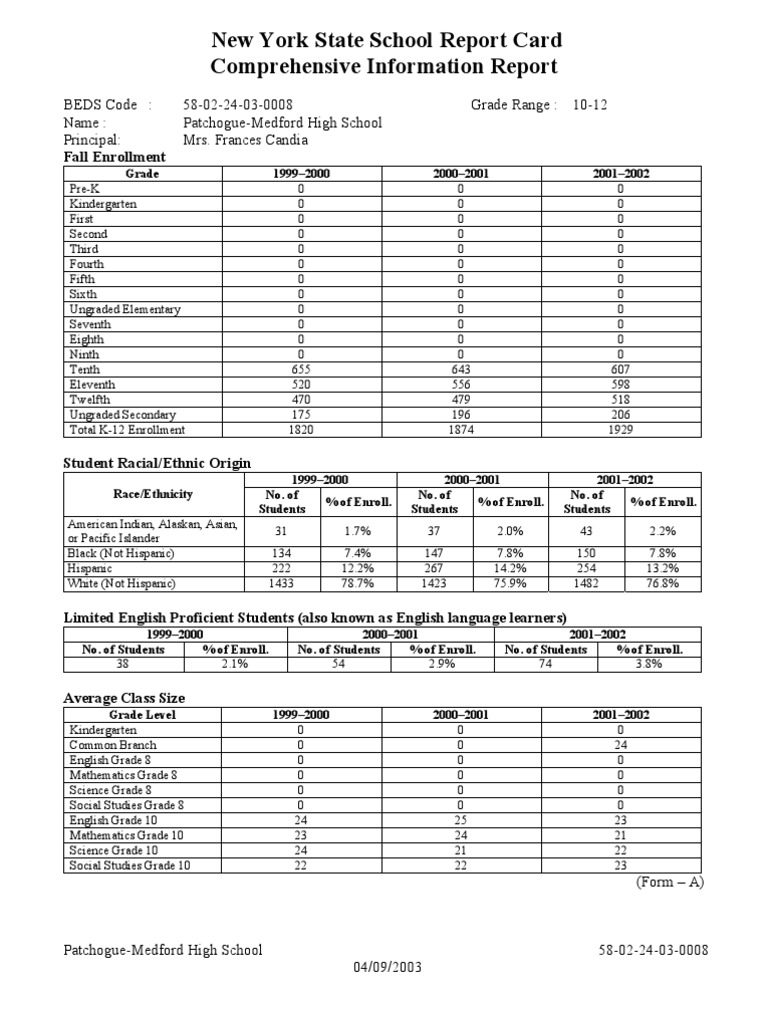 Patchogue-Medford High School Report 2003 | PDF | General Educational ...