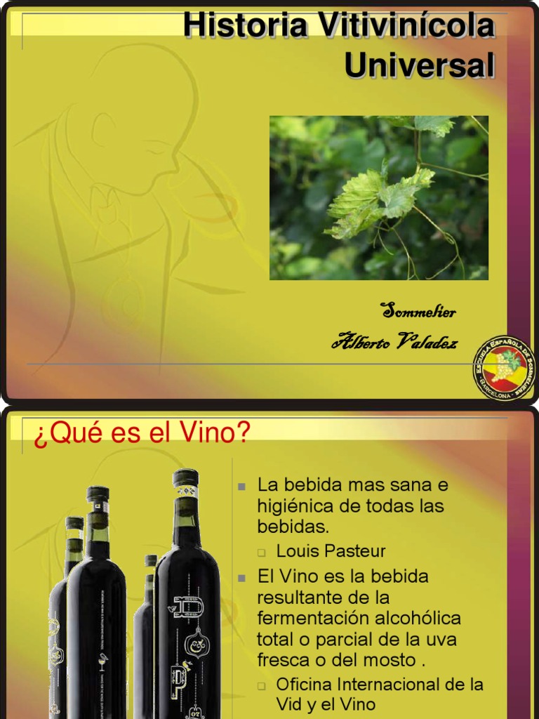 Historia Del Vino | PDF | Vitis | Vino