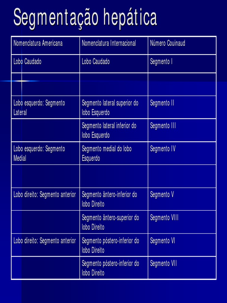 Segmentação Hepatica Imagem | PDF