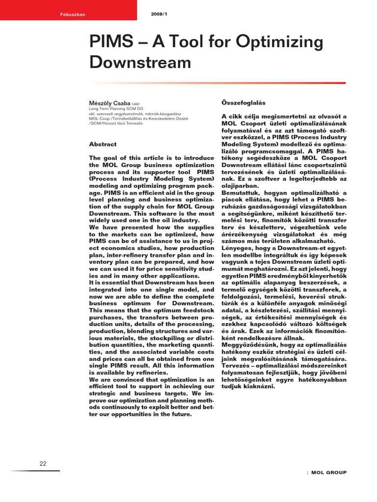 LP Pims Modeling | PDF