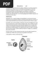 Función y Efectos de la Motilina | PDF | Diarrea | Intestino delgado