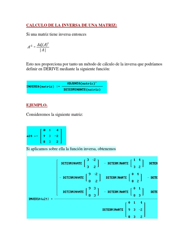 Calculo de La Inversa de Una Matriz | PDF