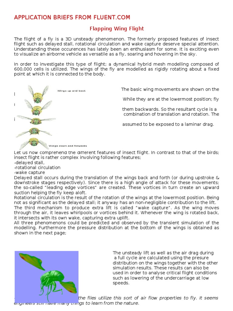 Flapping Wing Flight Pdf Computational Fluid Dynamics Flight