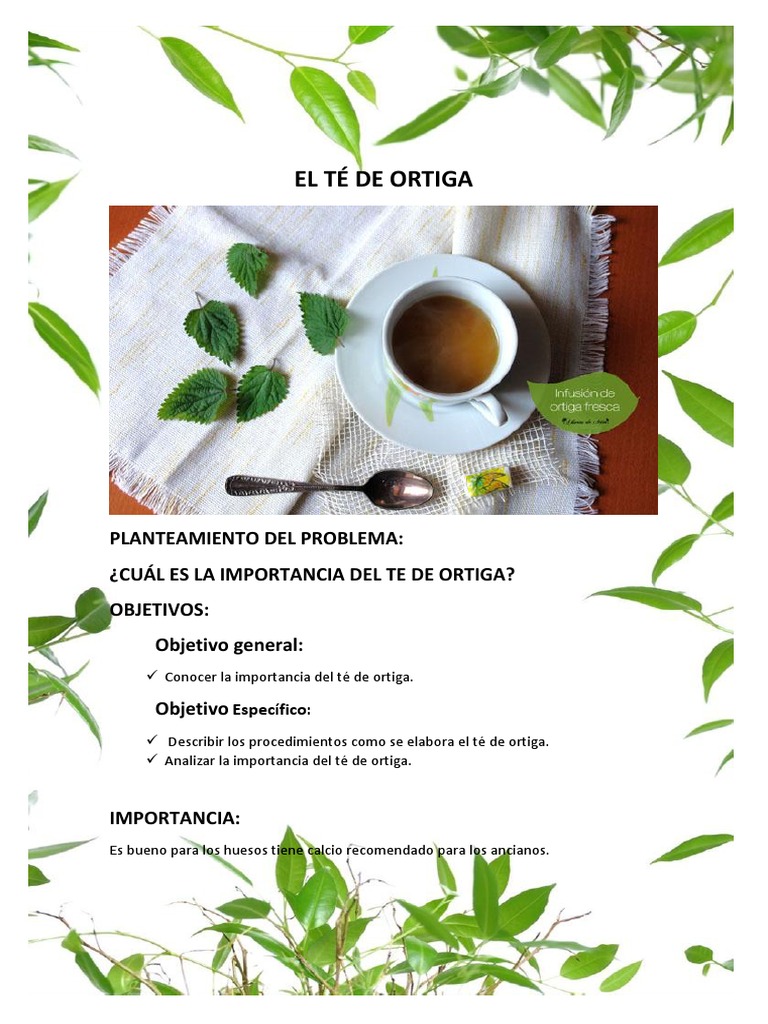 Importancia del Té de Ortiga | PDF | Té | Naturaleza