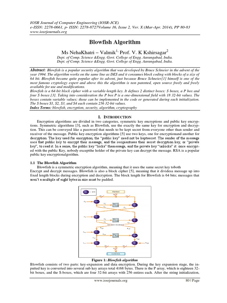 Blowfish Algorithm | PDF | Cryptography | Key (Cryptography)