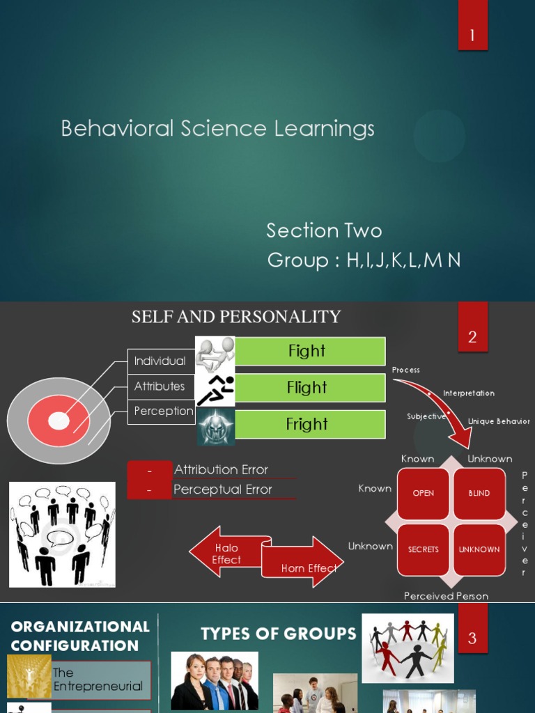 From Chaos to Order: Exploring the Aesthetic and Behavioral Dimensions ...