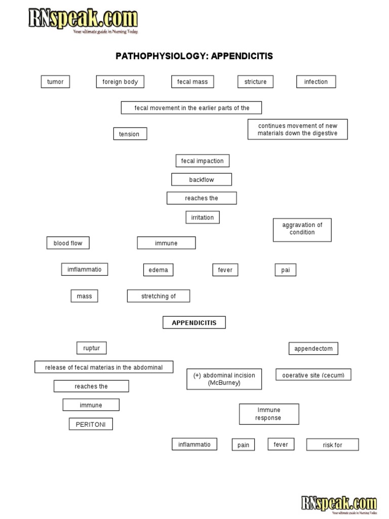 Understanding Appendicitis Pathophysiology | PDF
