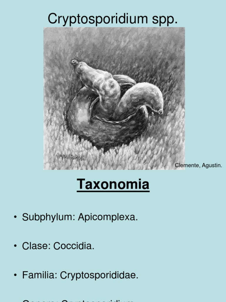Cryptosporidium spp.ppt
