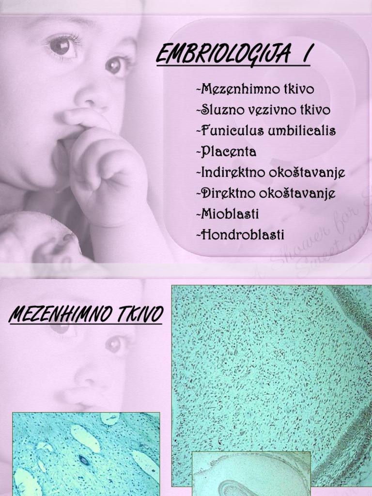Embriologija | PDF