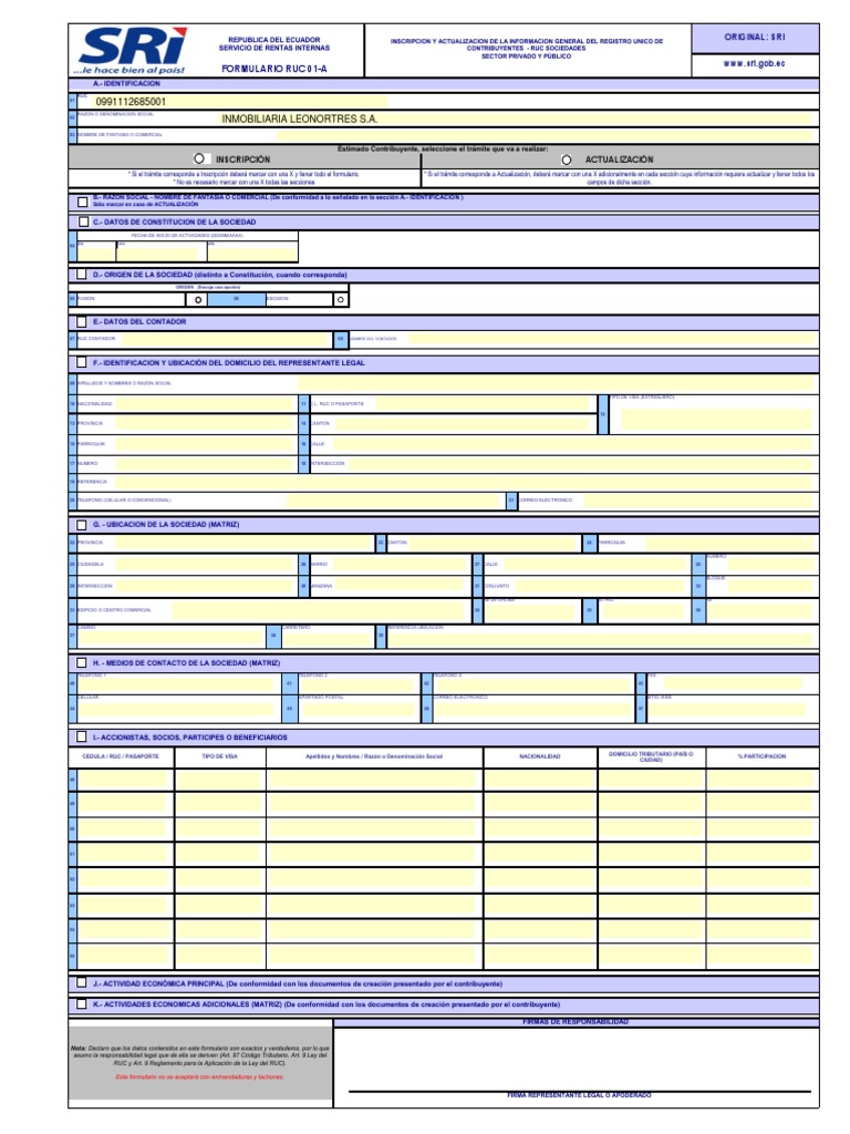 Formulario RUC 01 - A | PDF | Business