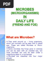 Class 11th EVS Project Book | PDF