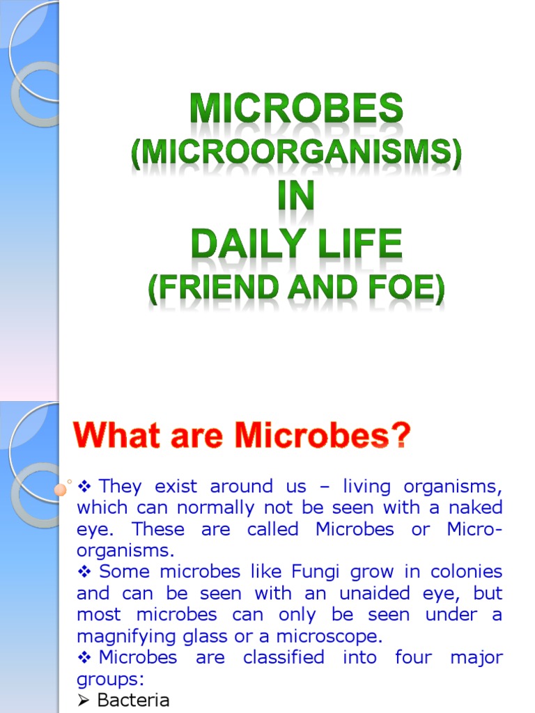 Microbes in Daily Life | PDF | Food Preservation | Microorganism