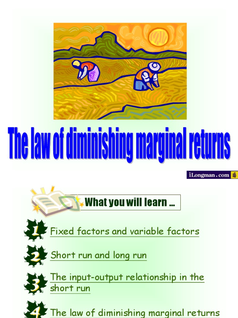 The Law of Diminishing Marginal Returns | PDF | Labour Economics | Long ...