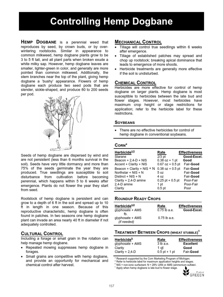 Controlling Hemp Dogbane | PDF | Seed | Herbicide