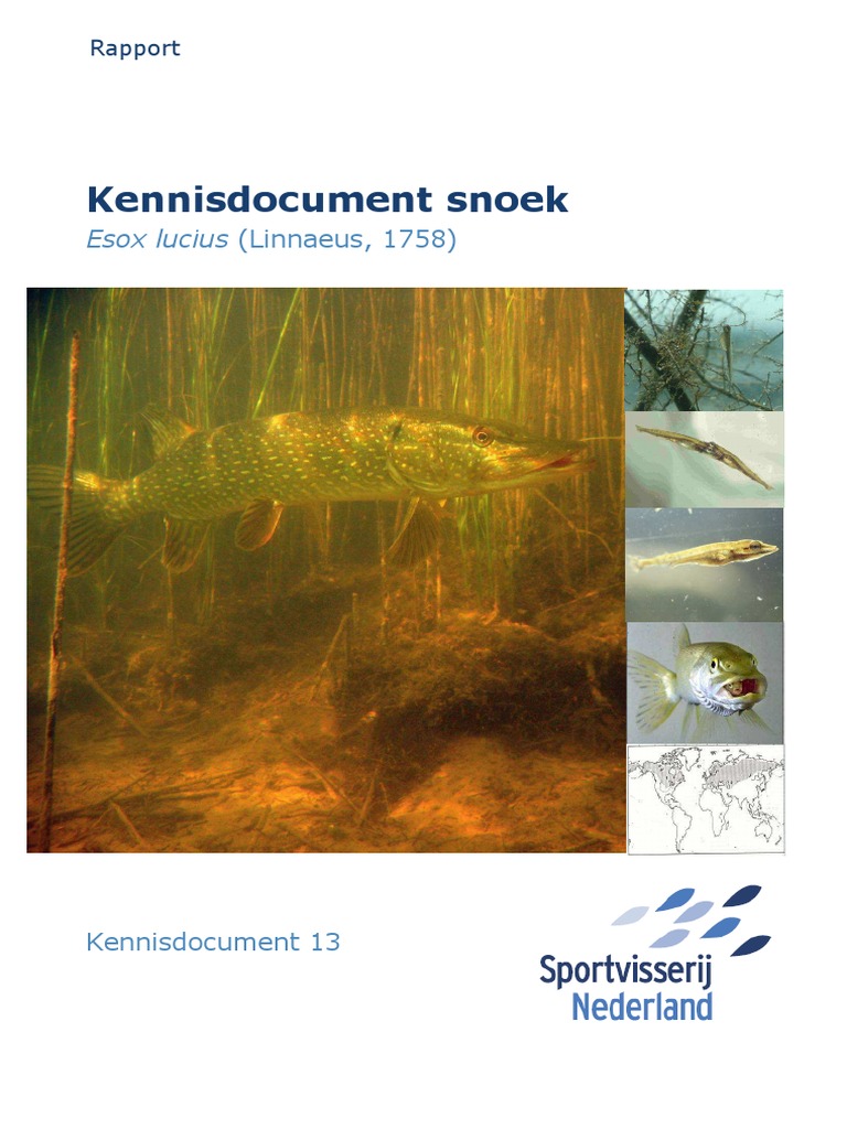 Kennisdocument Snoek | PDF