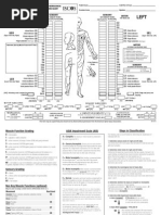 ASIA Impairment Scale for Spinal Injury | PDF | Anatomical Terms Of ...