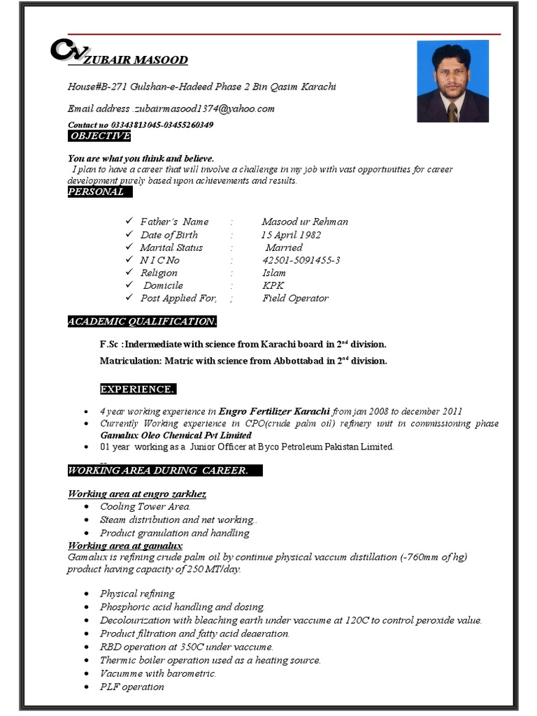 Zubair Final CV | PDF
