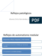 Reflejo Cremasterico | PDF