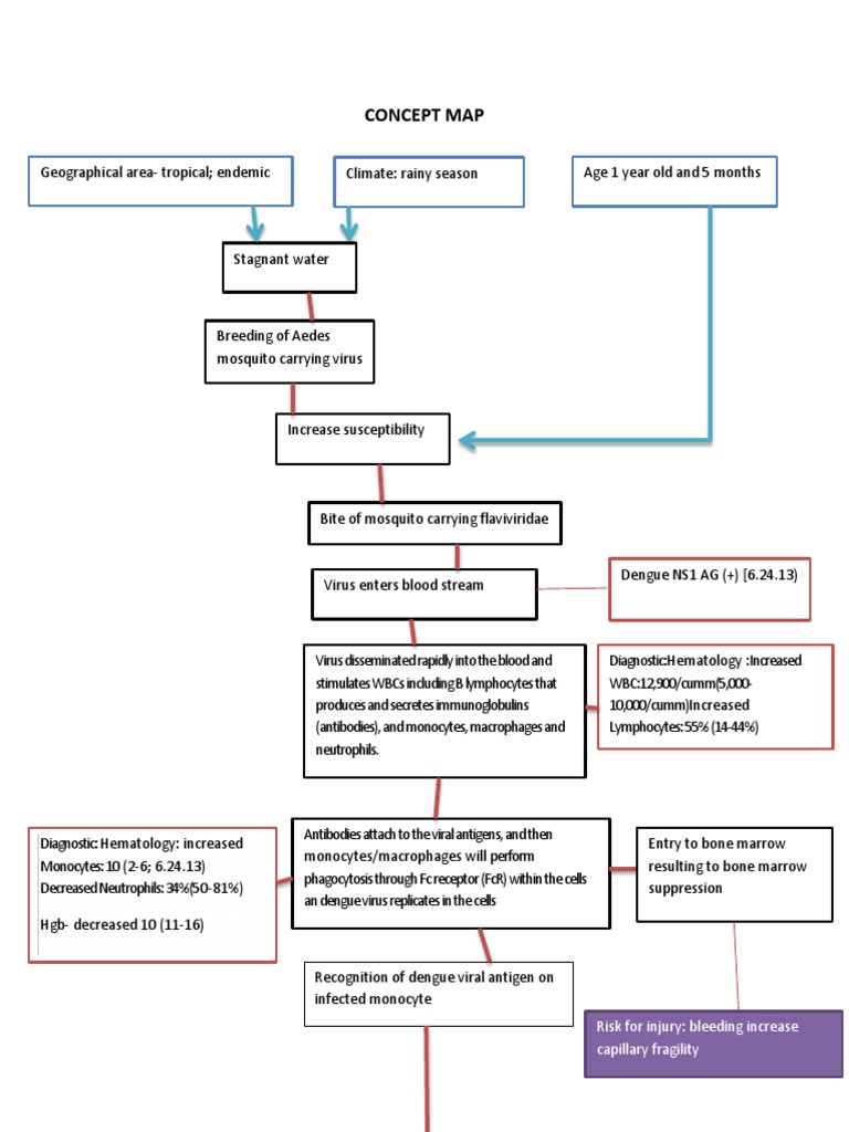 Pathophysiology of Dengue Fever 1 | PDF