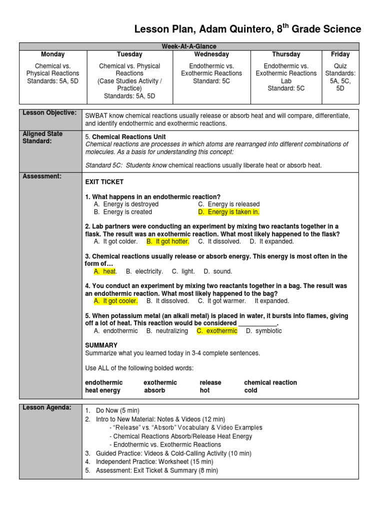 Adam Lesson Plan 1 | PDF | Chemical Reactions | Chemistry