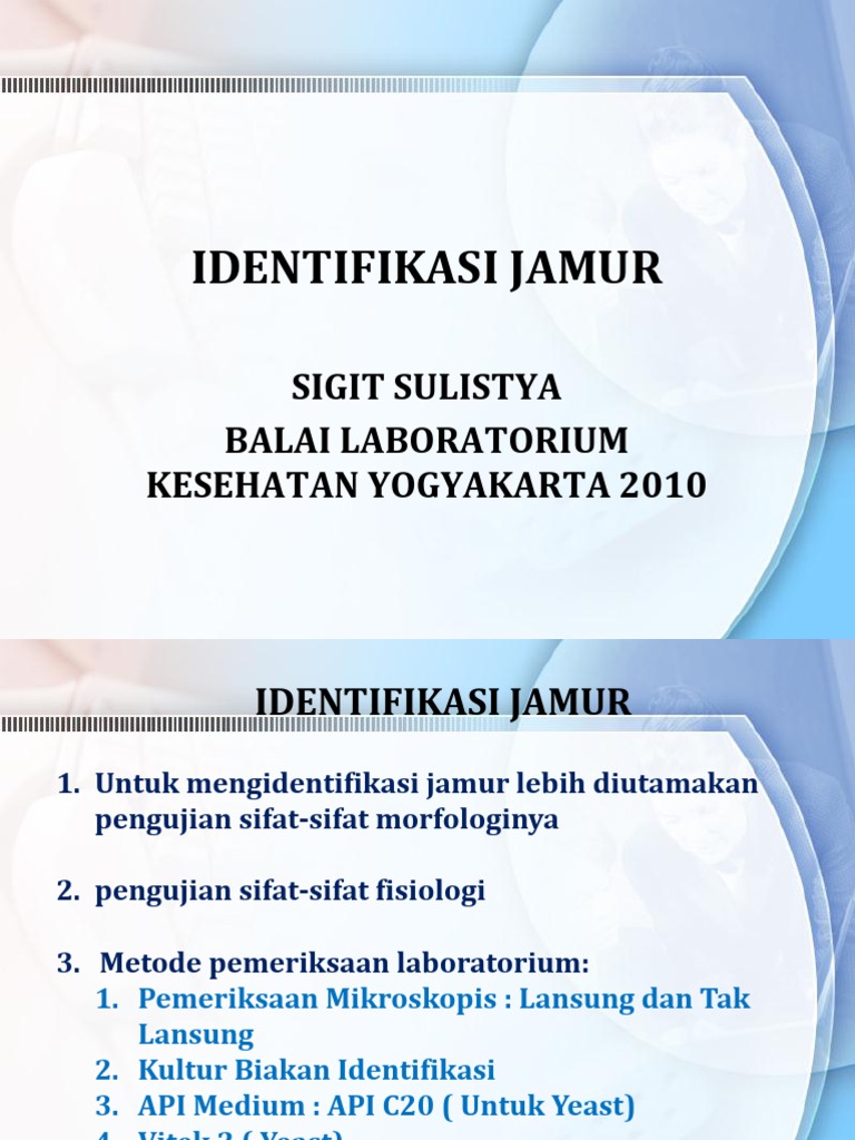 Teknis Identifikasi Jamur Biakan Identifikasi | PDF | Growth Medium | Yeast