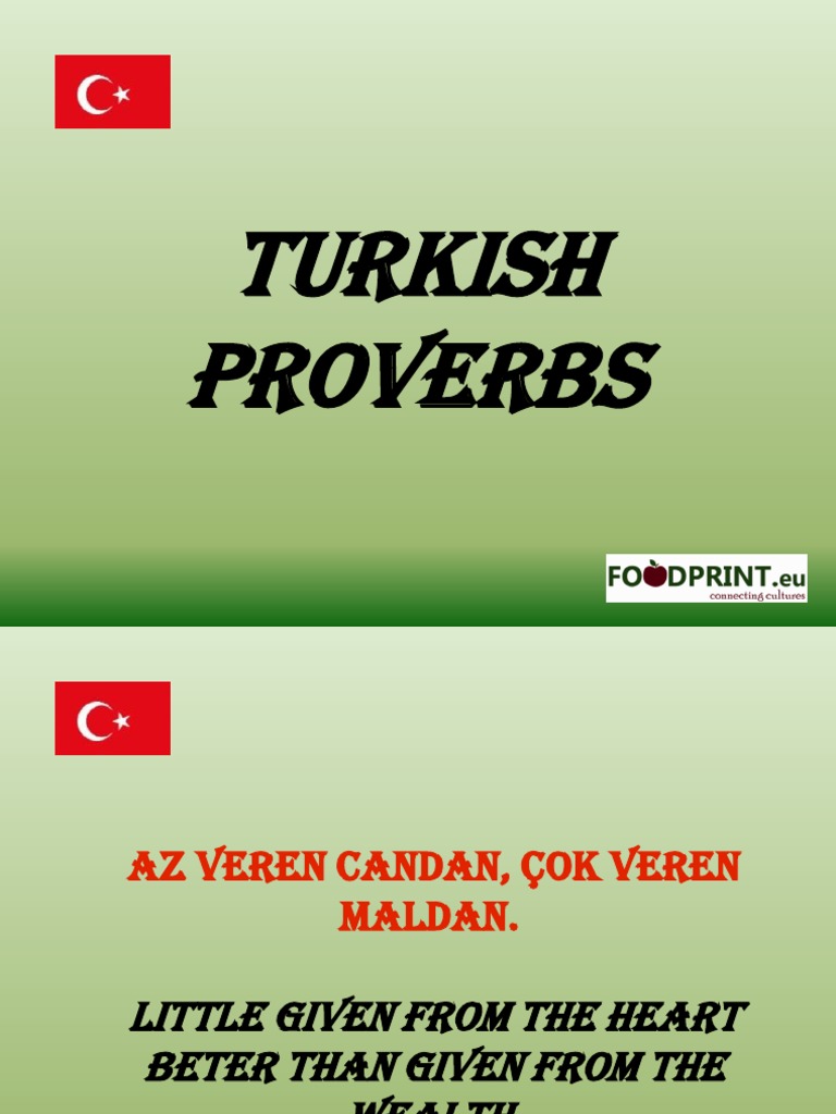 Turkish Proverbs | PDF