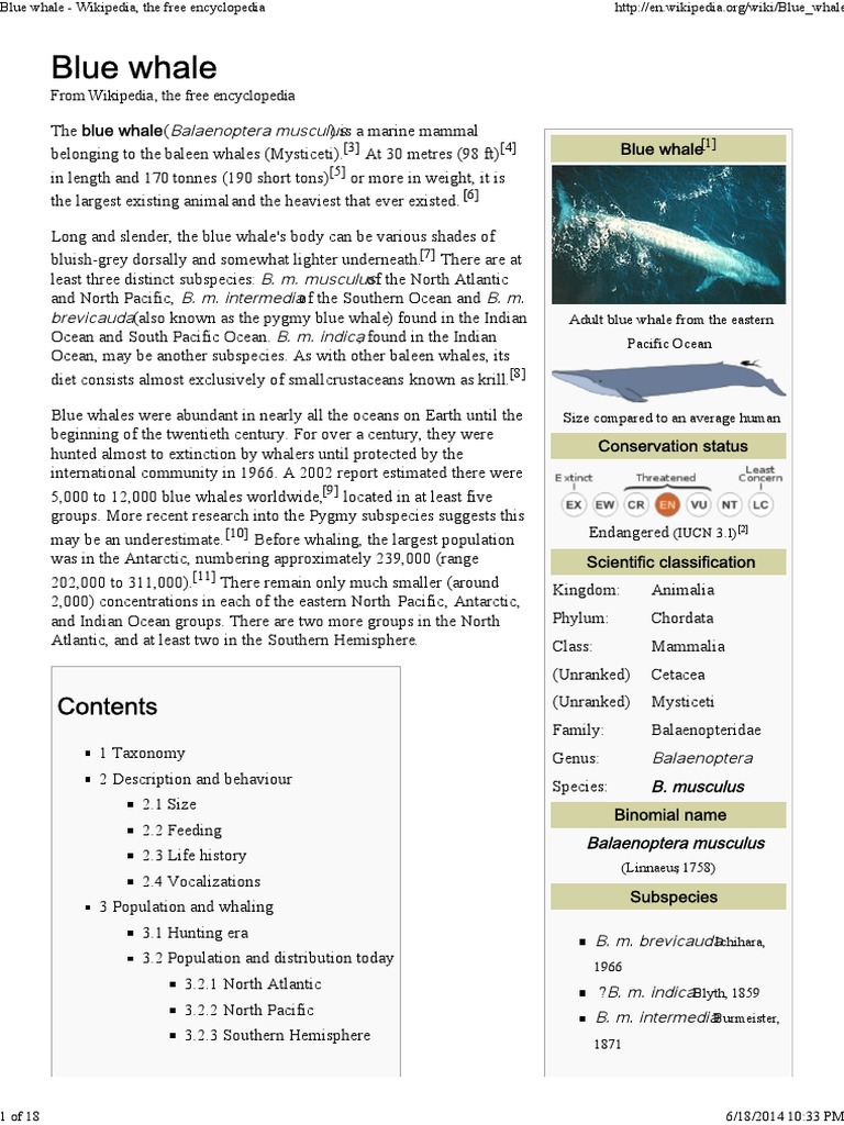Blue Whale: From Wikipedia, The Free Encyclopedia | PDF | Whales | Mammals