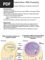 Lesson Plan Grade 10 Mutation | PDF | Genetic Code | Gene
