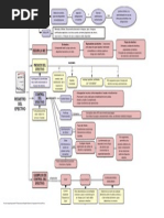 NIIF 1 Mapa Conceptual | PDF | Finanzas y dinero