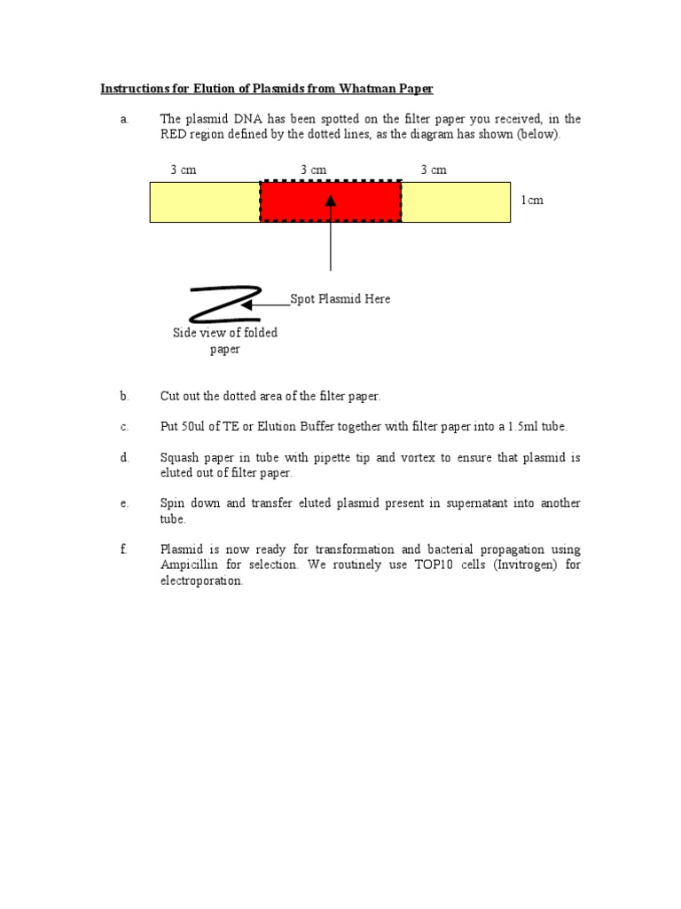 Plasmid Elution from Whatman Paper | PDF | Science & Mathematics