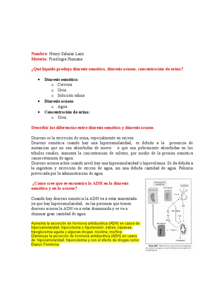 Diuresis Osmótica y Acuosa: Mecanismos y Causas | PDF | Sodio | Agua