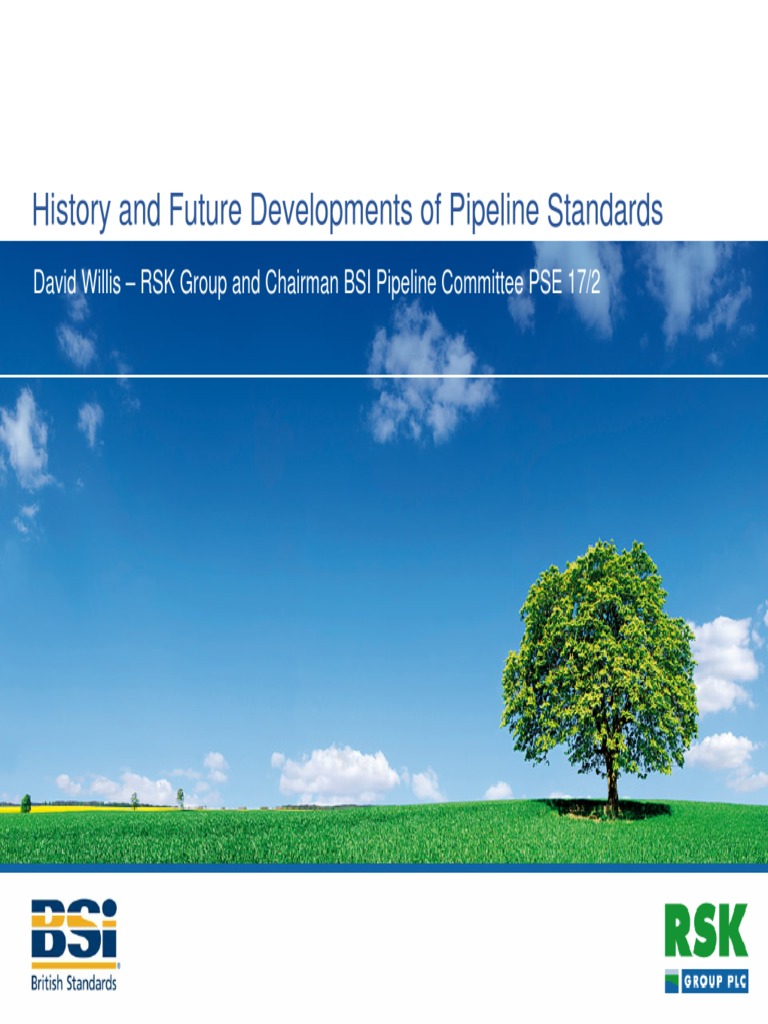 BS History and Future Developments of Pipeline Standards | PDF