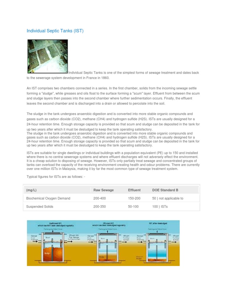 Overview of Individual Septic Tanks | PDF | Sewage Treatment | Septic Tank
