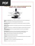 Parts of Microscope and Their Functions | PDF | Lens (Optics) | Glass ...