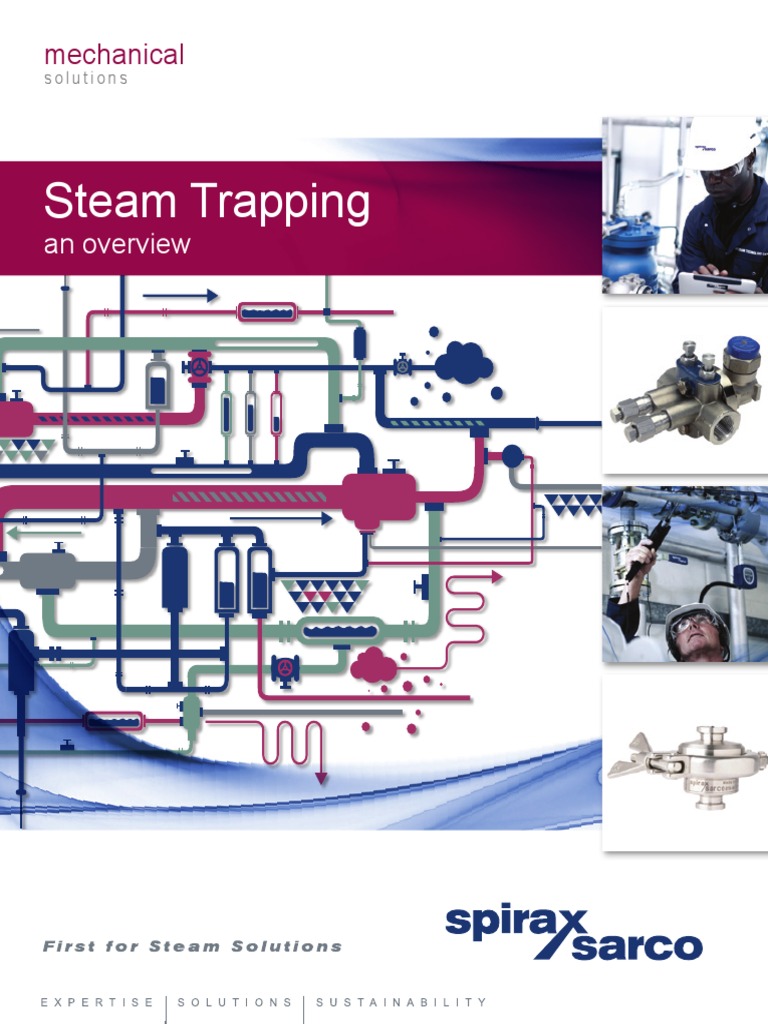 Steam Trap Overview | PDF | Valve | Steam