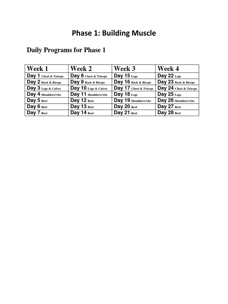 Phase 1 Muscle Building Plan | PDF