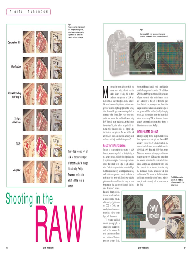 Shooting in The Raw | PDF | Raw Image Format | Color Balance