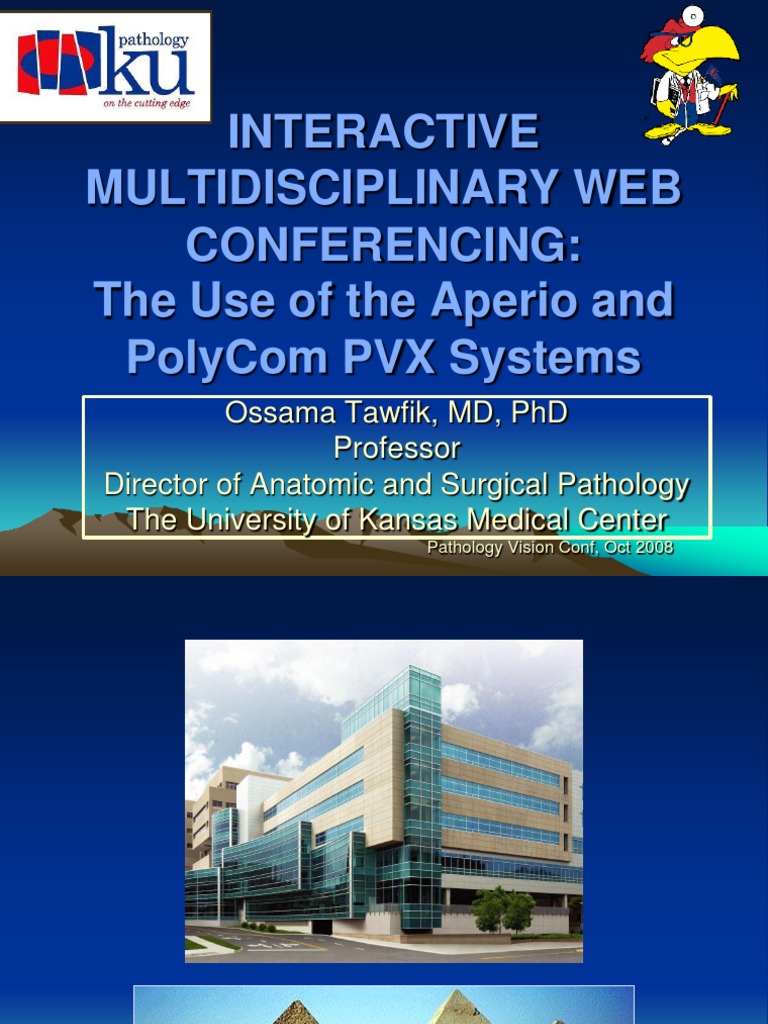 Interactive Multidisciplinary Web Conferencing: The Use of The Aperio ...