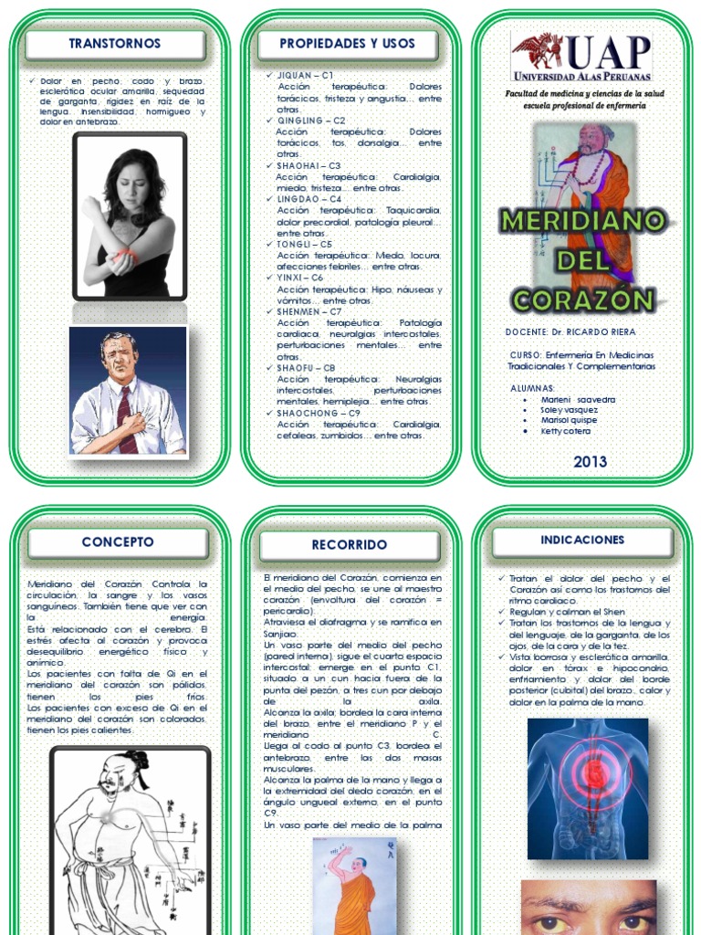 Meridiano del Corazón en Acupuntura | PDF | Mano | Anatomía humana