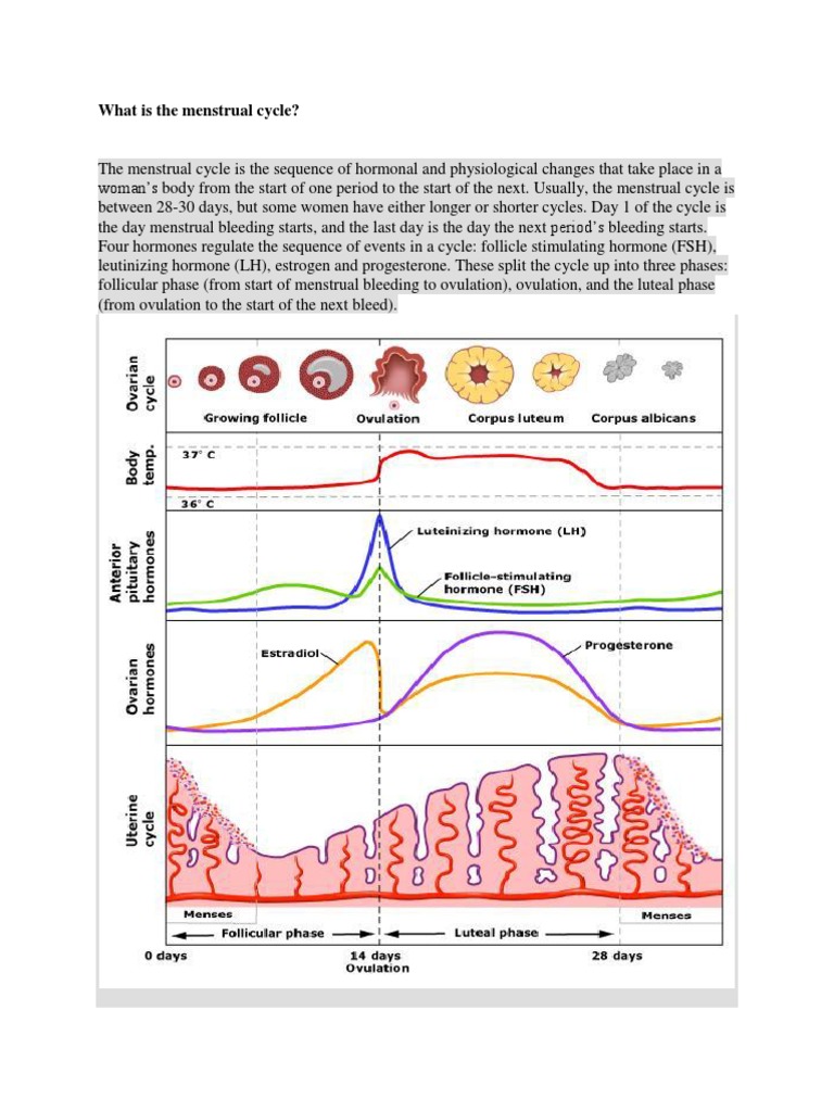 What Is The Menstrual Cycle | PDF | Menstrual Cycle | Luteinizing Hormone