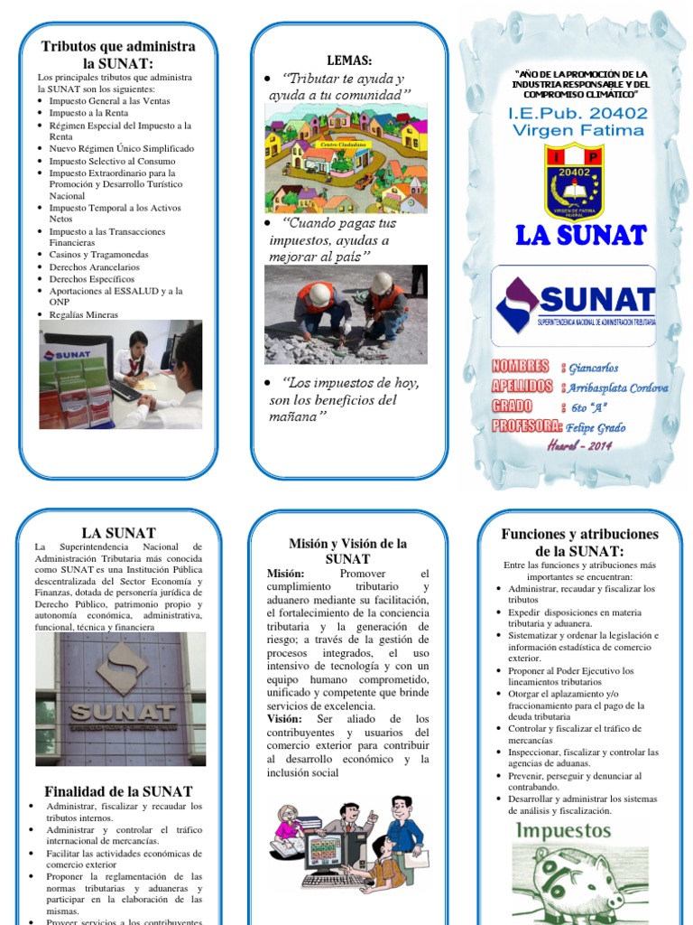Sunat - Triptico | PDF | aduana | El comercio internacional