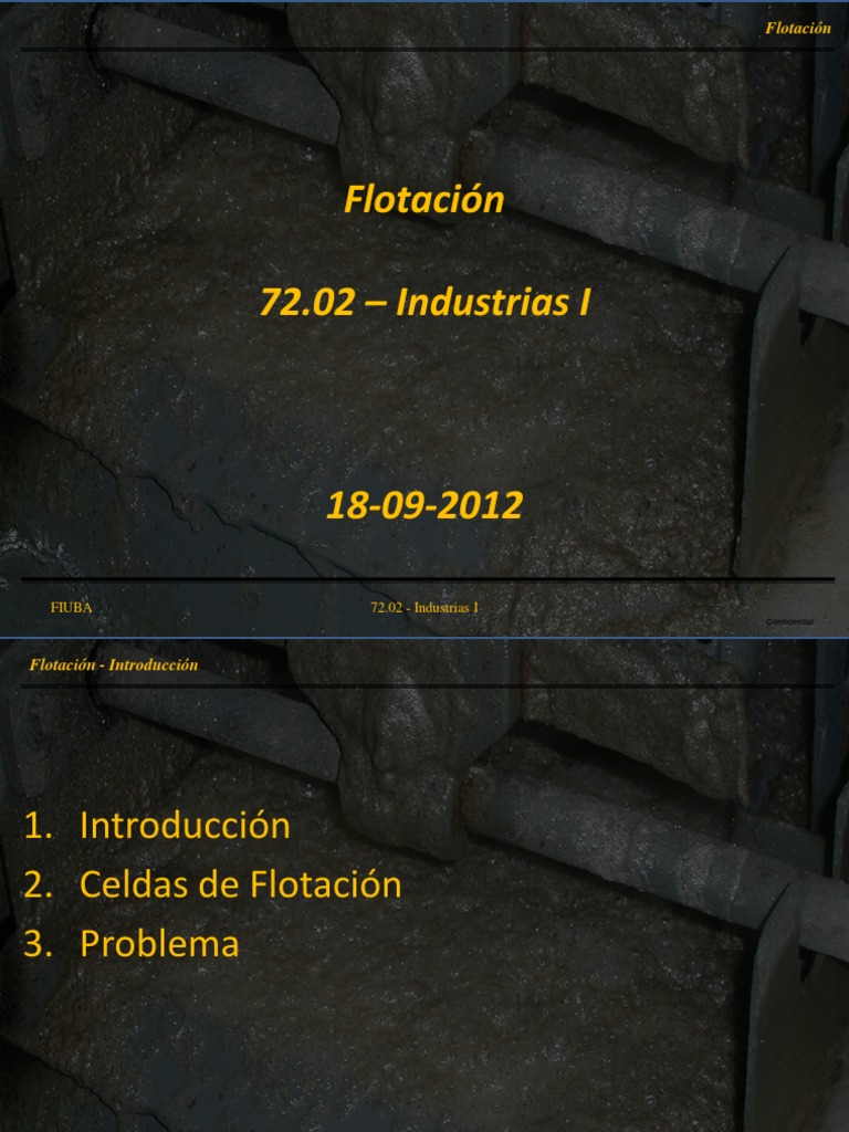 Problemas4 Flotagcion | PDF | Física Aplicada e Interdisciplinaria | Sustancias químicas