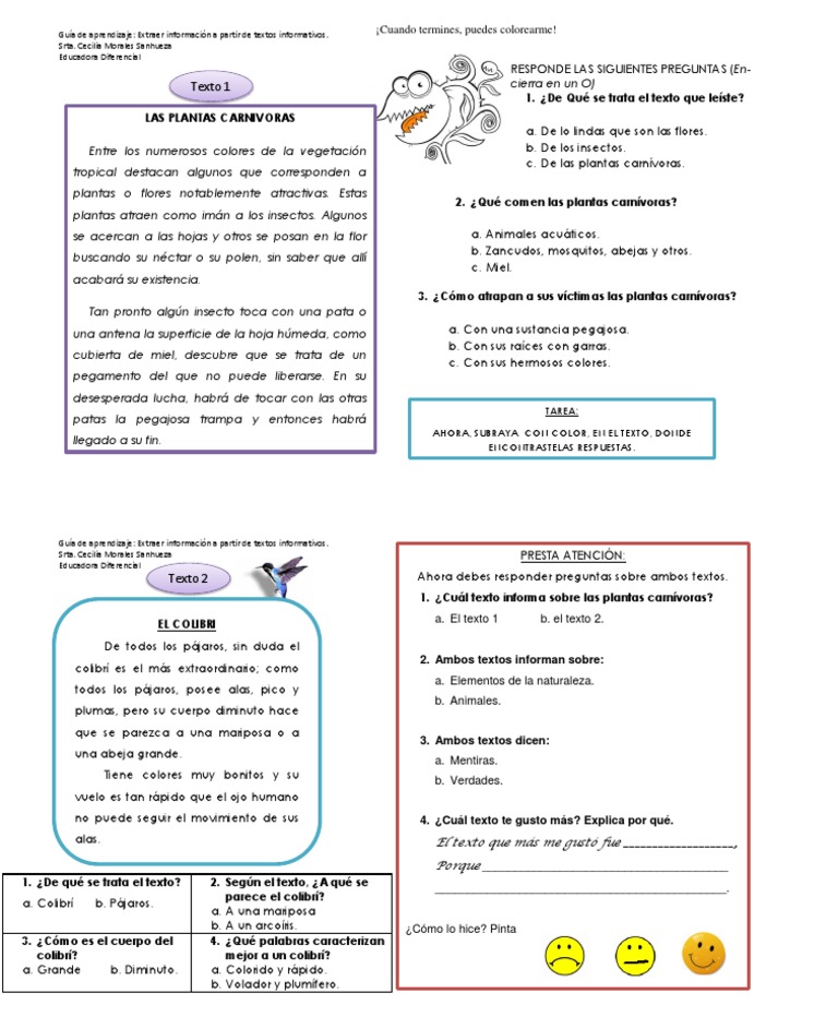 Actividad Texto Informativo | PDF