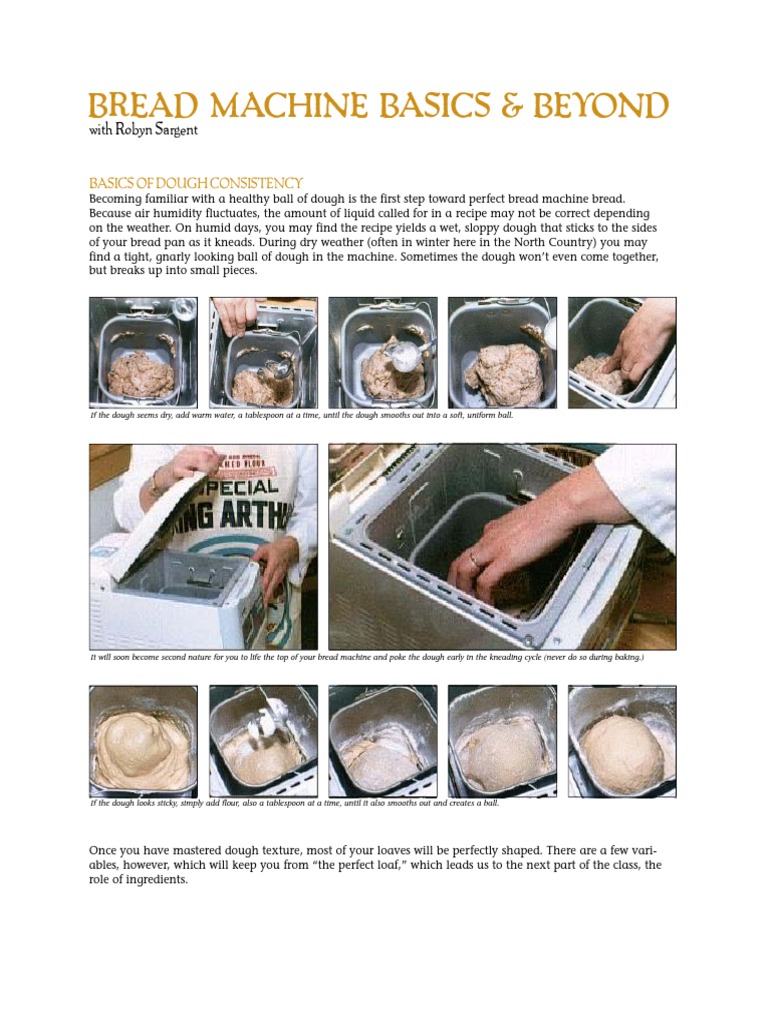 Bread Machine Basics and Beyond | Flour | Breads