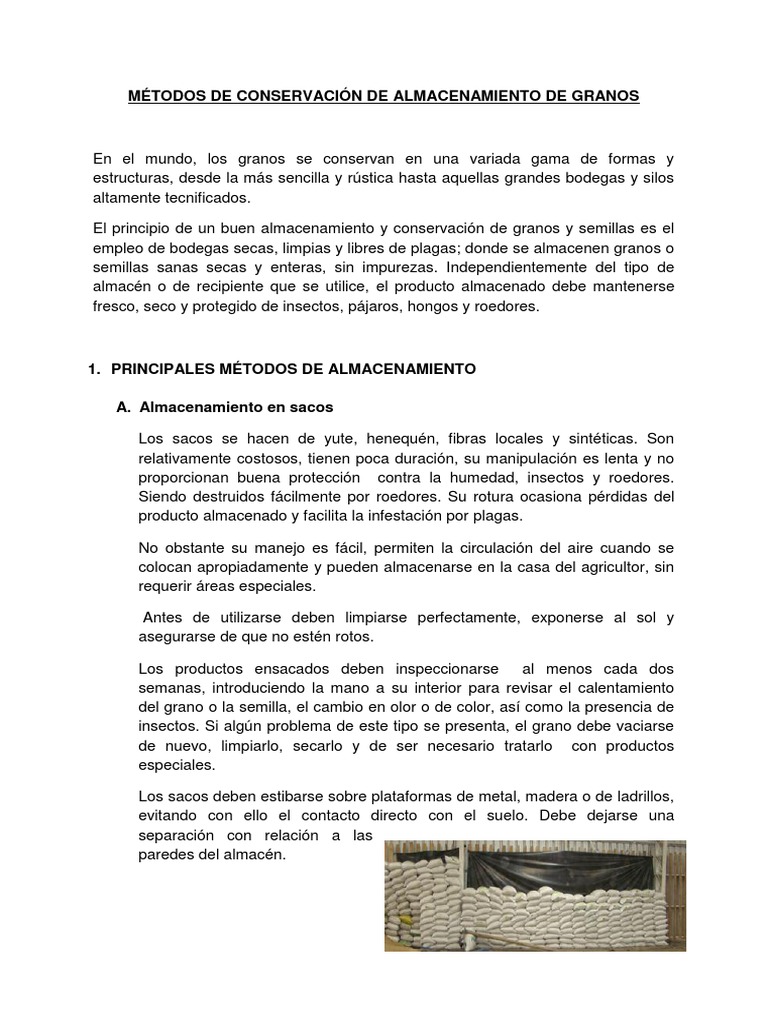 Métodos De Conservación De Almacenamiento De Granos Pdf Insectos