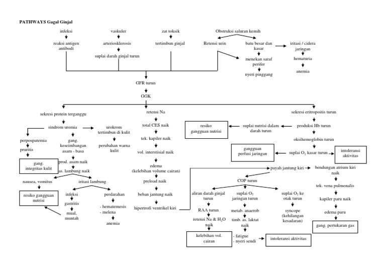 Pathways Gagal Ginjal | PDF