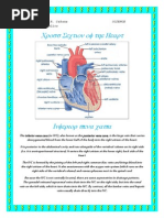 The Journalist Creed | PDF | Journalism | Social Institutions