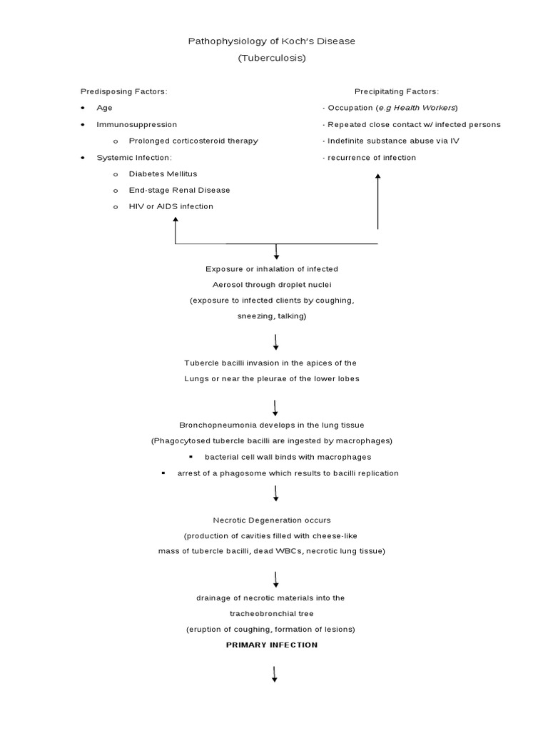 Pathophysiology of Tuberculosis | PDF | Tuberculosis | Lung